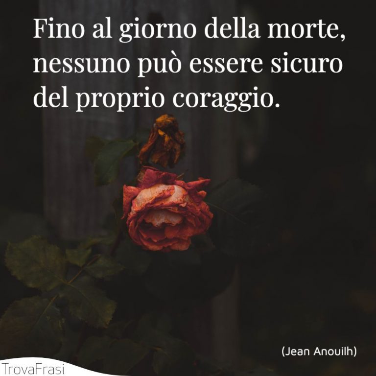 Frasi Sul Coraggio Quando La Paura Rimane Indietro Trovafrasi