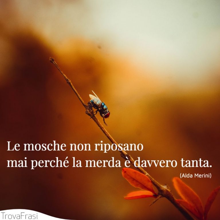 Frasi sul riposo, necessario ma pericoloso - TrovaFrasi