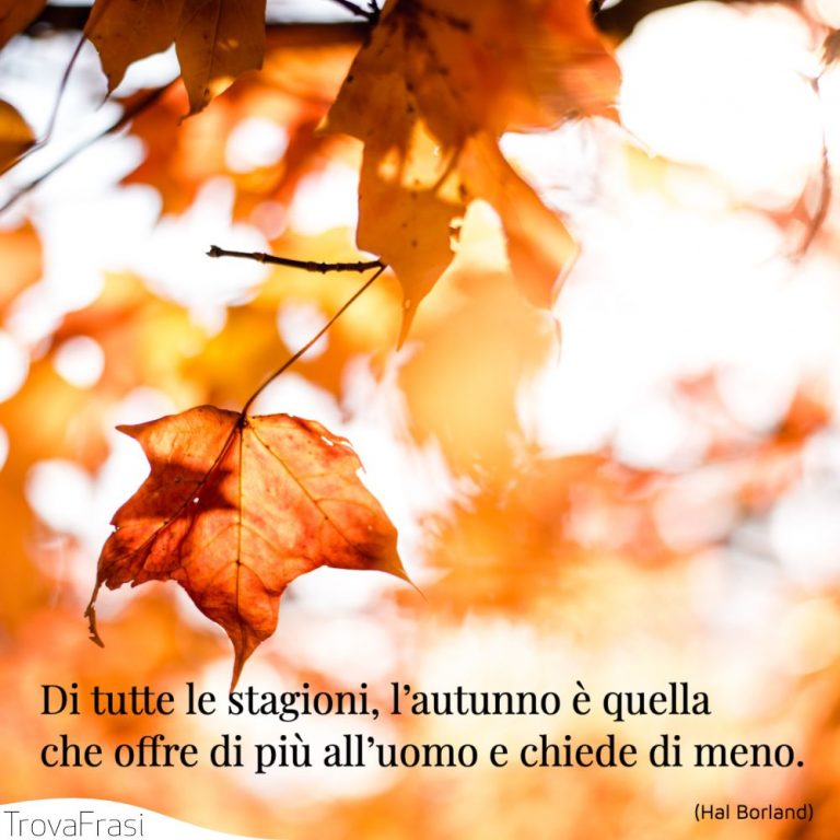 Frasi sull'autunno, quando l'estate ci lascia - TrovaFrasi