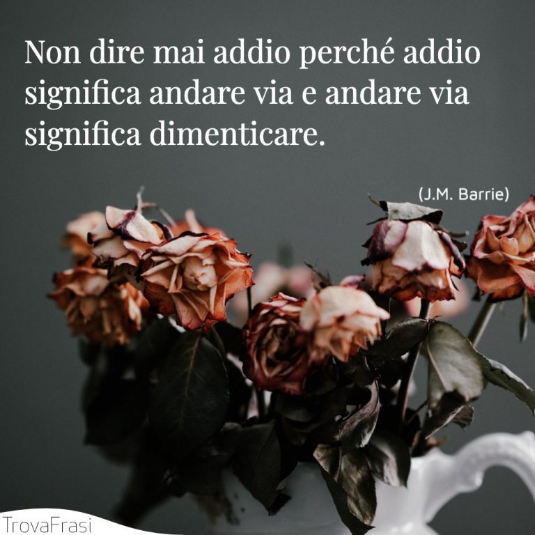 Frasi per dire addio e iniziare una nuova fase - TrovaFrasi