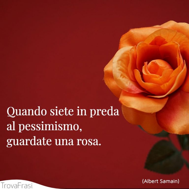 Frasi sulle rose: il simbolo dell’amore e della passione - TrovaFrasi