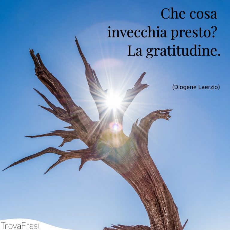 Frasi Sul Ringraziare La Più Grande Delle Virtù Trovafrasi
