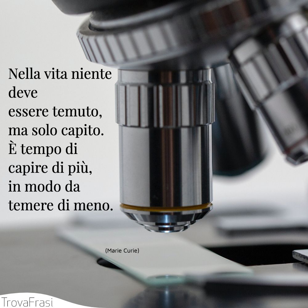 Le Frasi Sulle Paure E Su Cosa Significa Avere Coraggio Trovafrasi