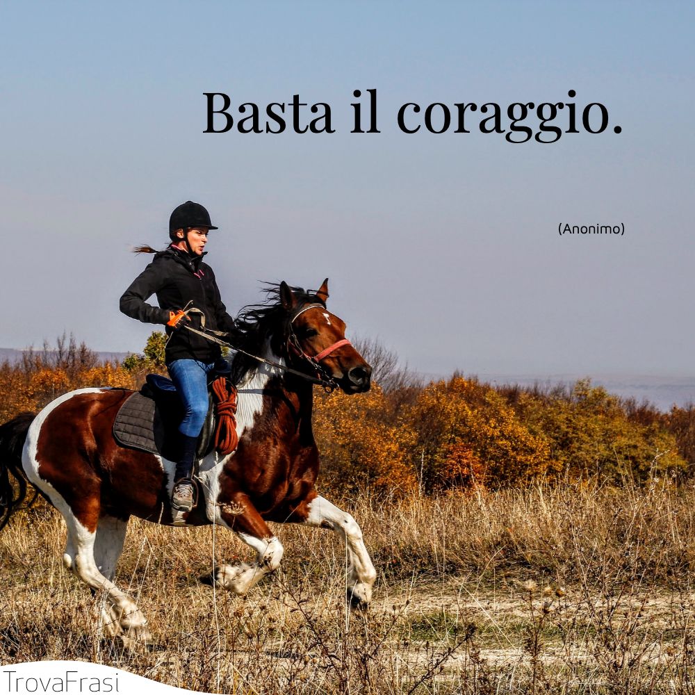 Le Frasi Sull Audacia E La Forza Del Coraggio Trovafrasi