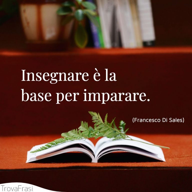 Frasi sull'imparare e la bellezza nell'apprendere - TrovaFrasi