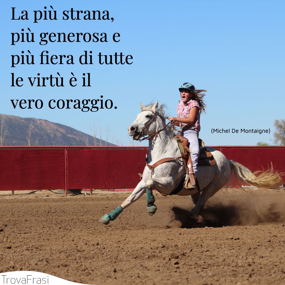 Le Frasi Sull Audacia E La Forza Del Coraggio Trovafrasi