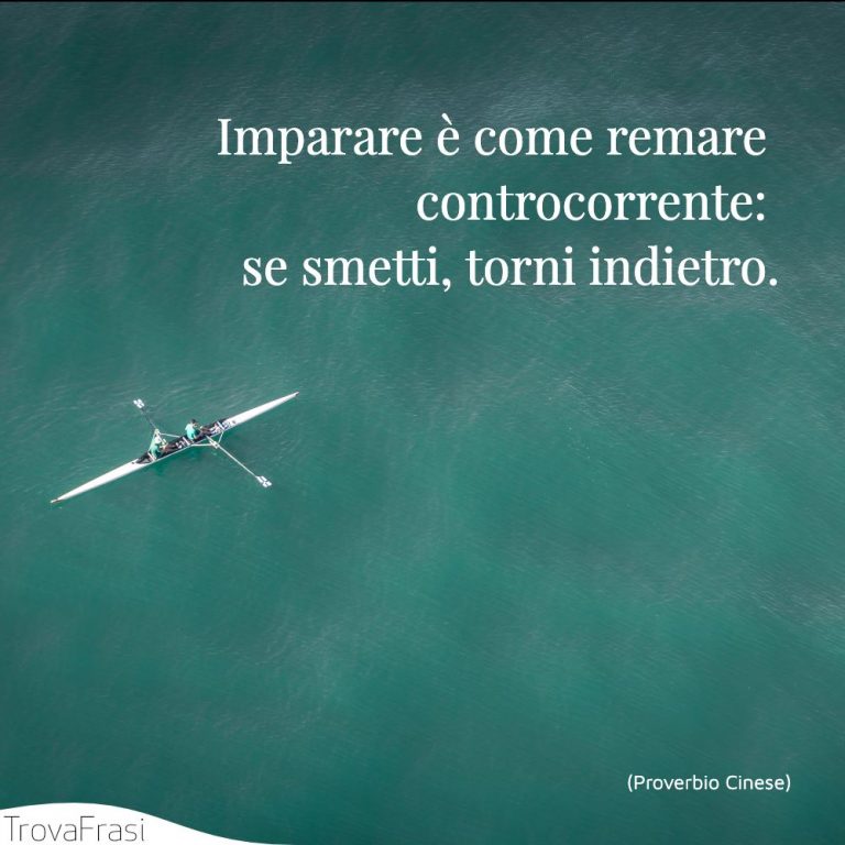 Frasi sull'imparare e la bellezza nell'apprendere - TrovaFrasi